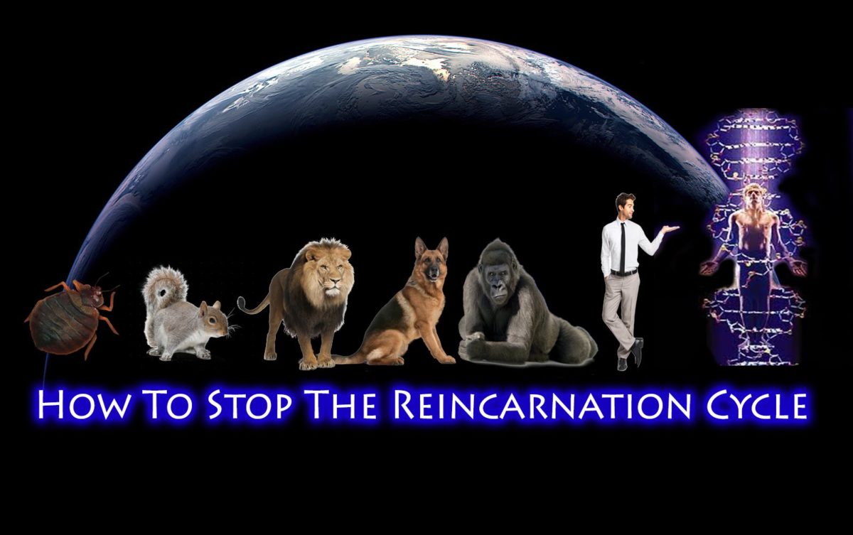 How To Exit The Reincarnation System ⋆ LOVE IN ACTION NOW